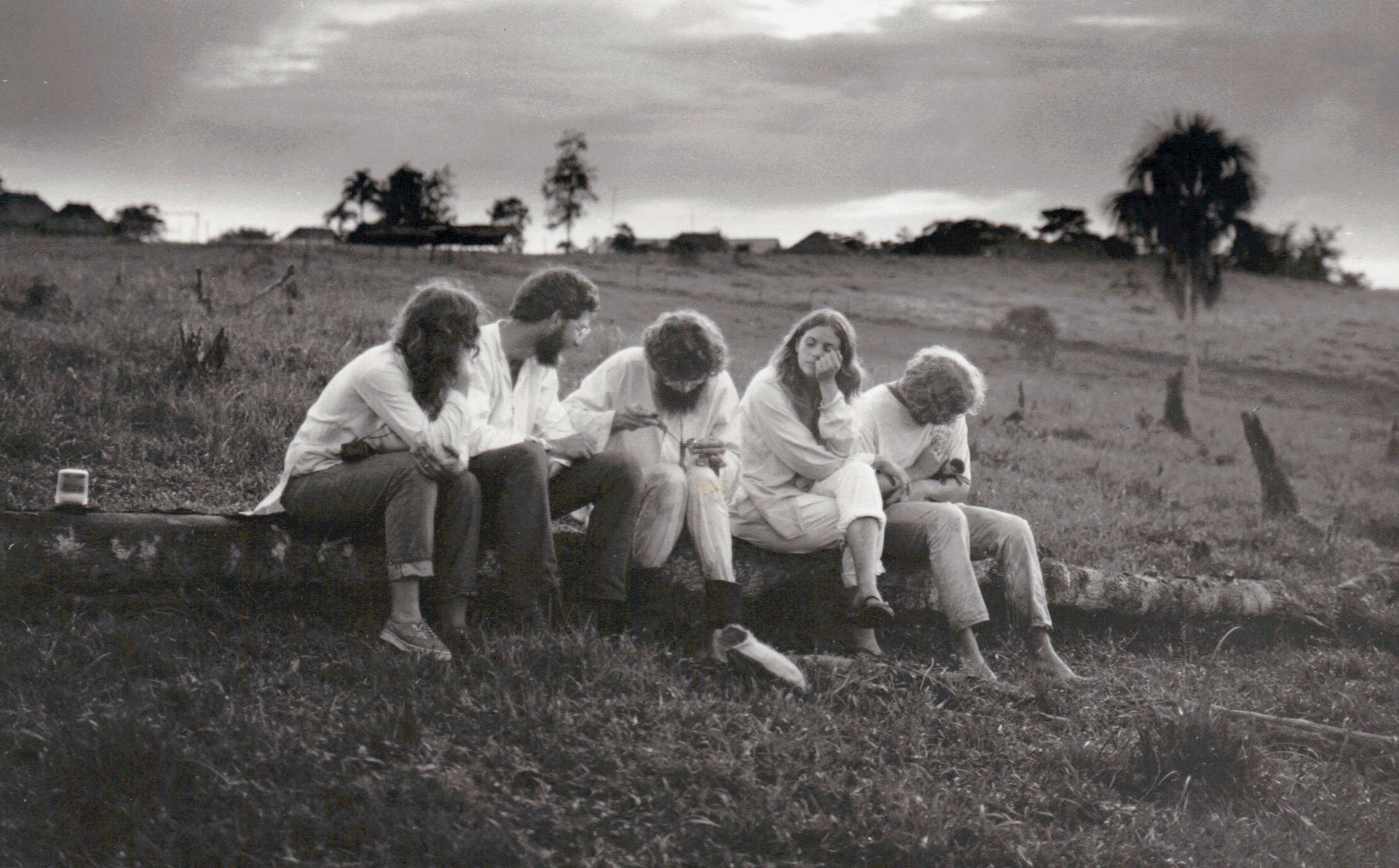 A Q&A with Dennis McKenna | The Ethnobotanical Assembly