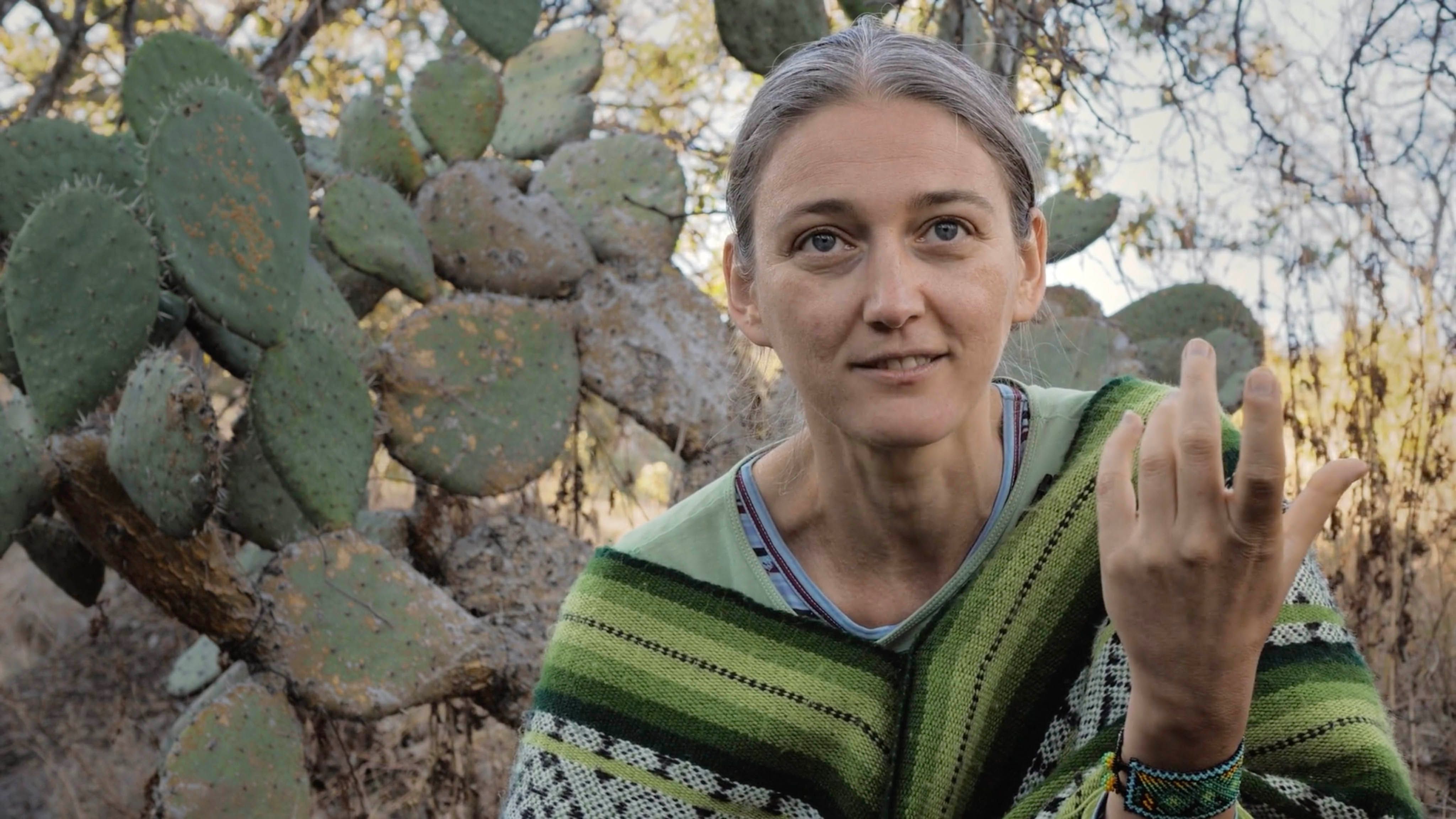 A Q&A With Monica Gagliano | The Ethnobotanical Assembly