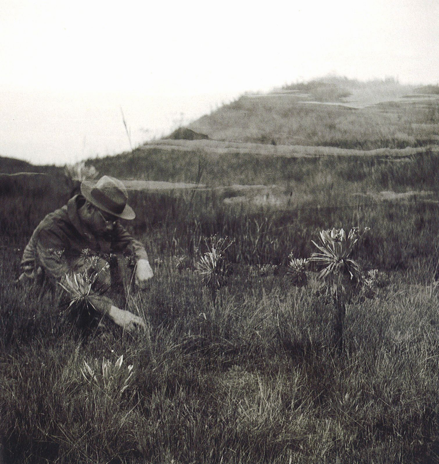 The Deep History of Humans and Plants | The Ethnobotanical Assembly