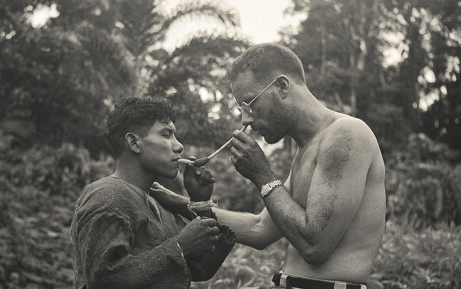 Ethnopharmacology | The Ethnobotanical Assembly